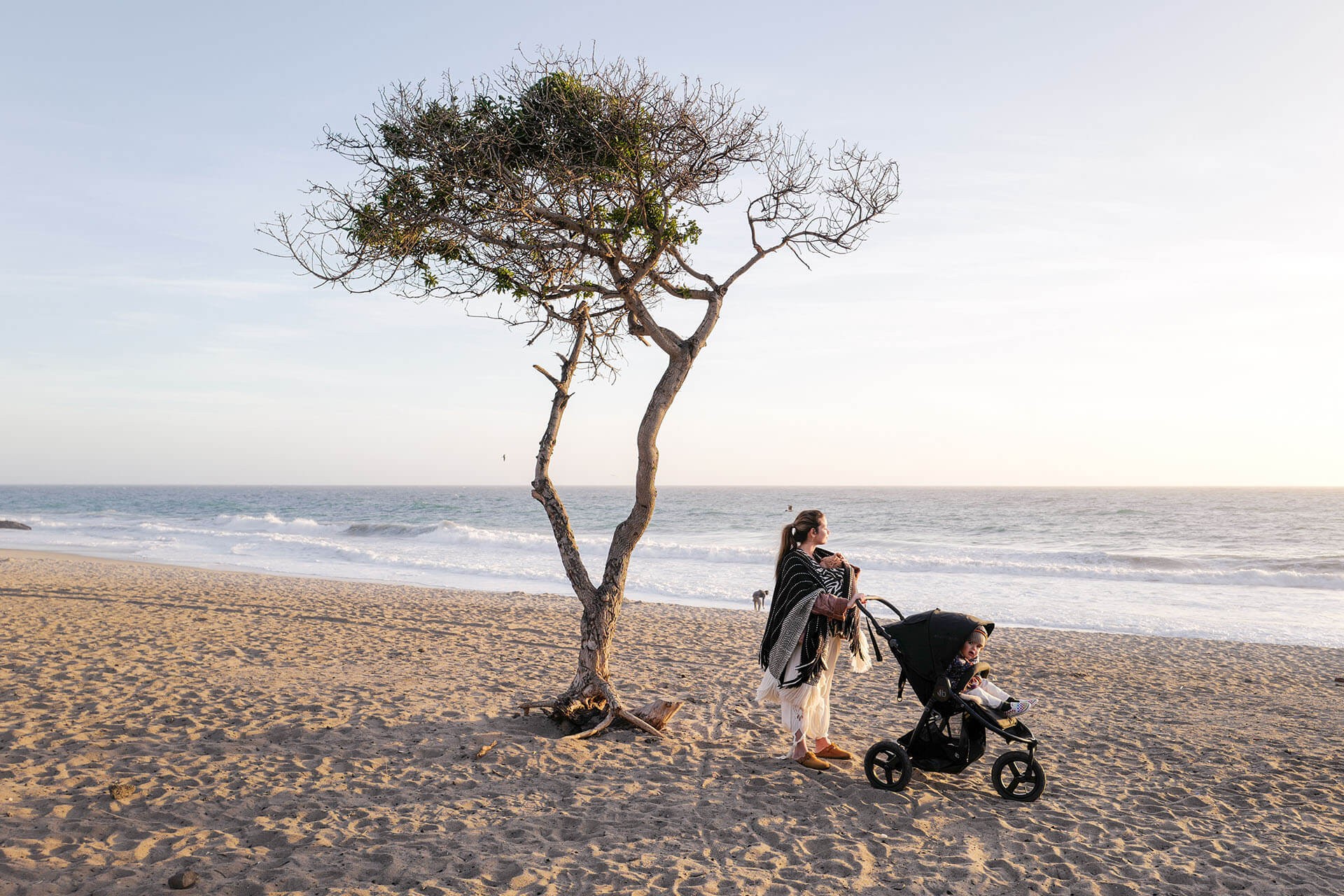 Best Prams and Strollers in Australia 2025 | One Fine Baby